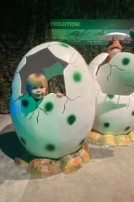 Ticket Prices for Dinos Alive - Toronto | Fever