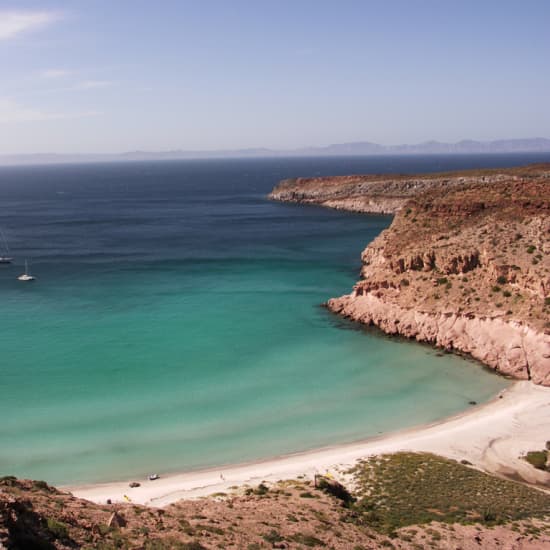 The Grand Baja Tour from San Diego | Fever